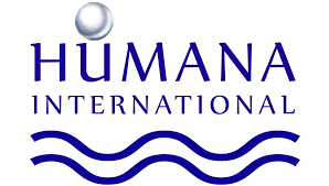 CI SHE Department Head PT Humana International Indonesia - PT Humana ...