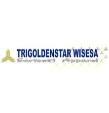 HSE Officer PT. Trigoldenstar Wisesa - PT. Trigoldenstar Wisesa